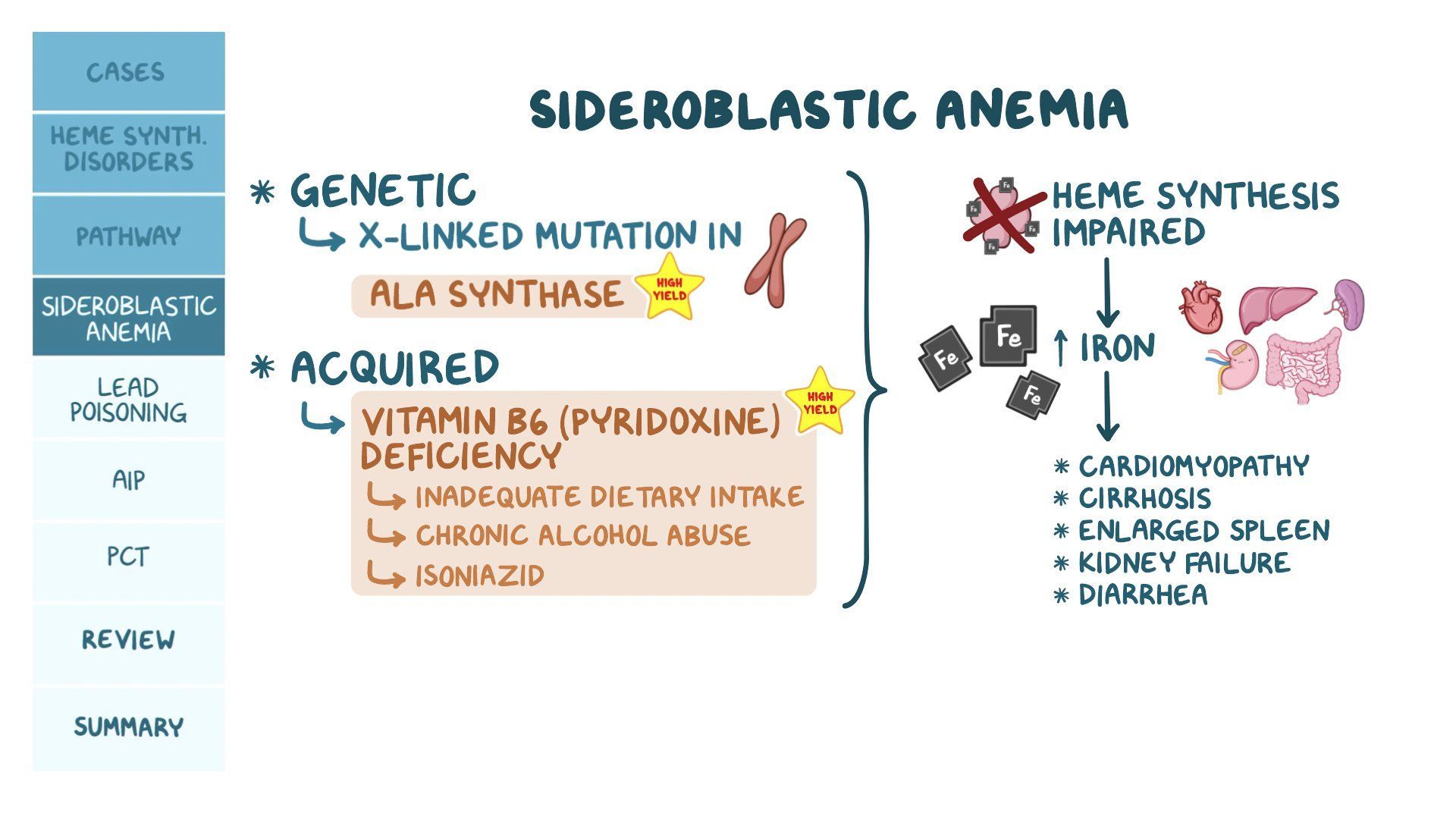 Video: Heme synthesis disorders: Pathology review | Osmosis