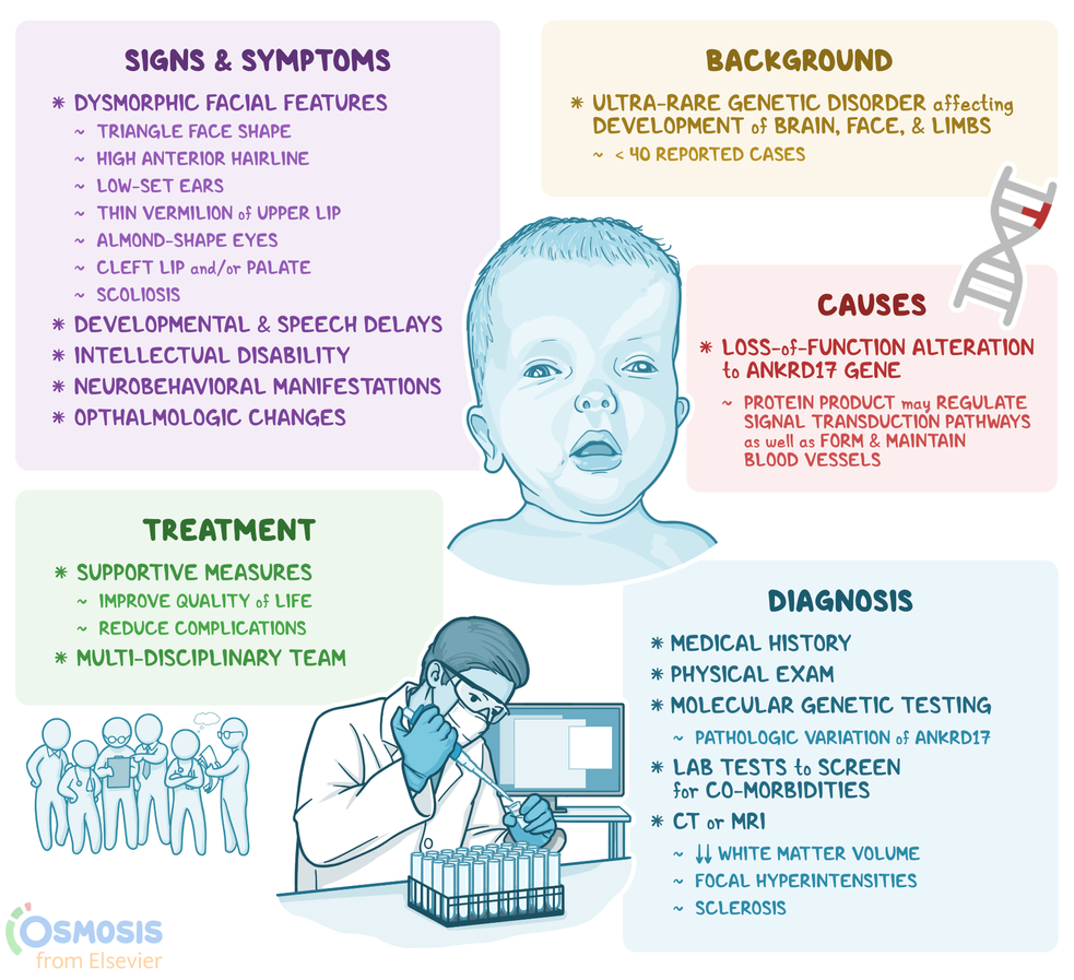 Chopra-Amiel-Gordon Syndrome (CAGS): What Is It, Causes, Symptoms, and ...
