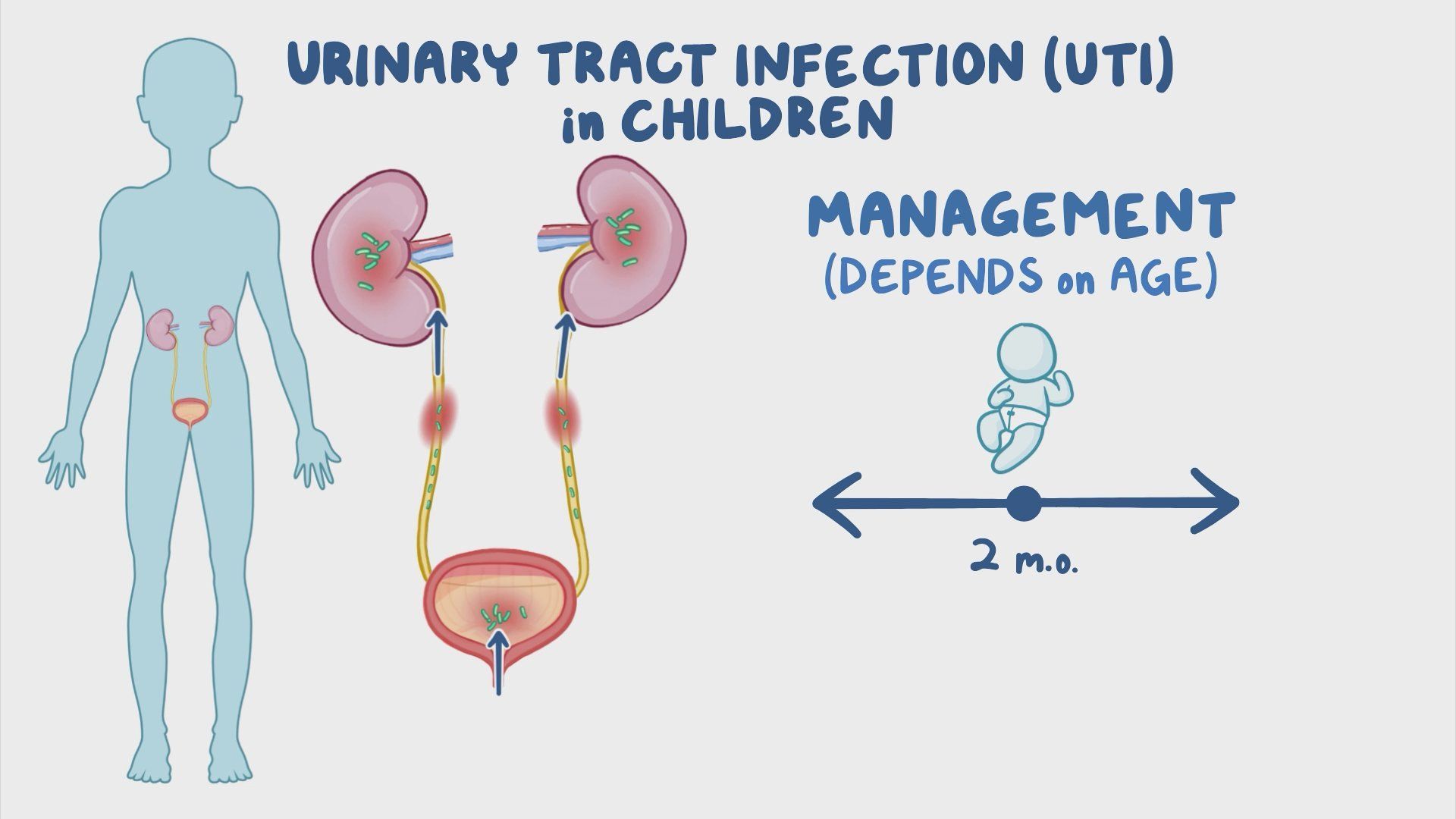Video: Urinary tract infection (pediatrics): Clinical sciences | Osmosis