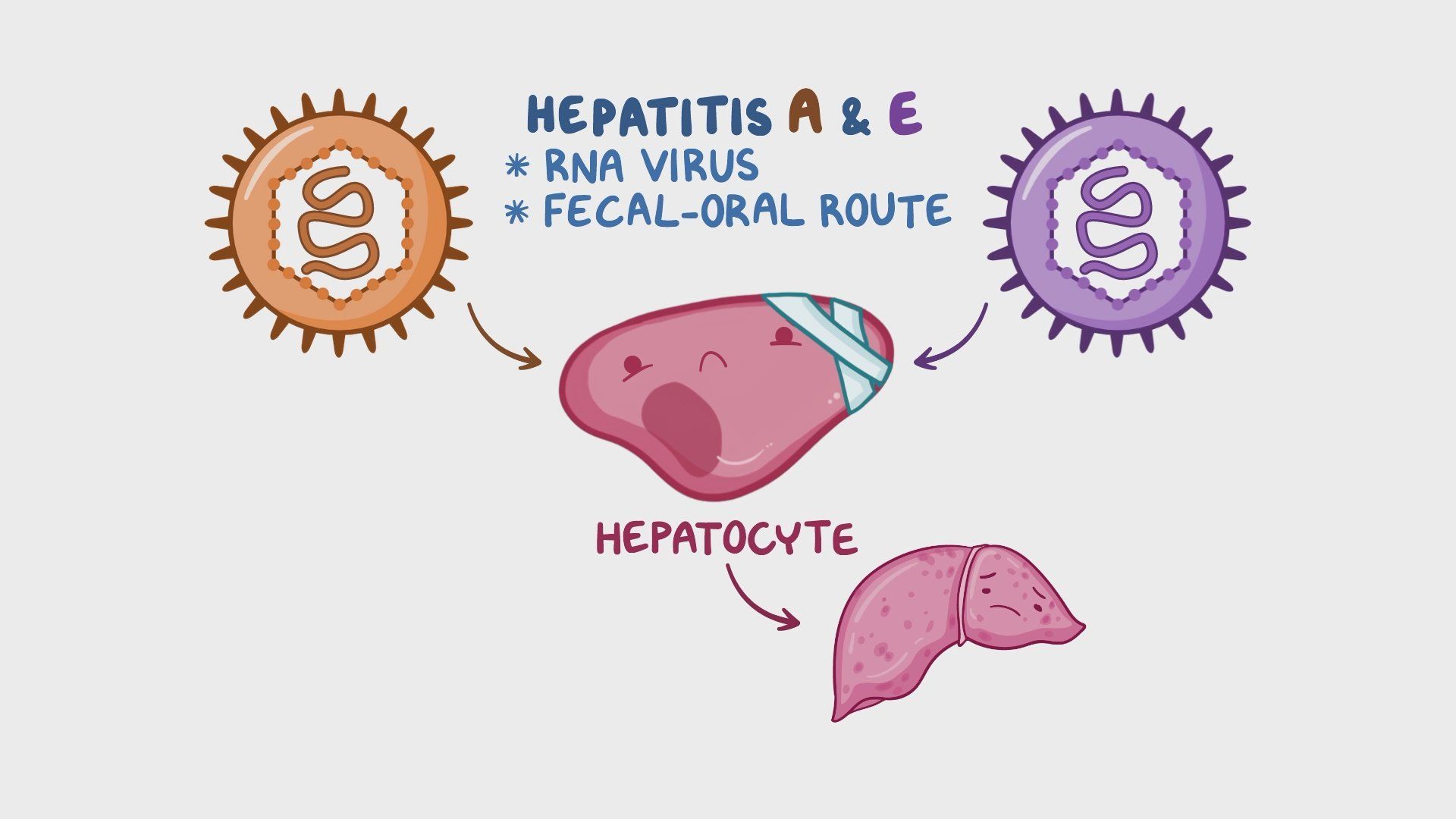 Video: Hepatitis A and E: Clinical sciences