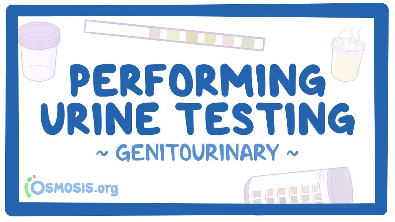 Genitourinary: Performing urine testing (for nursing assistant training ...