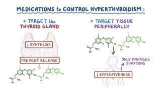 Hyperthyroidism medications Notes: Diagrams & Illustrations | Osmosis