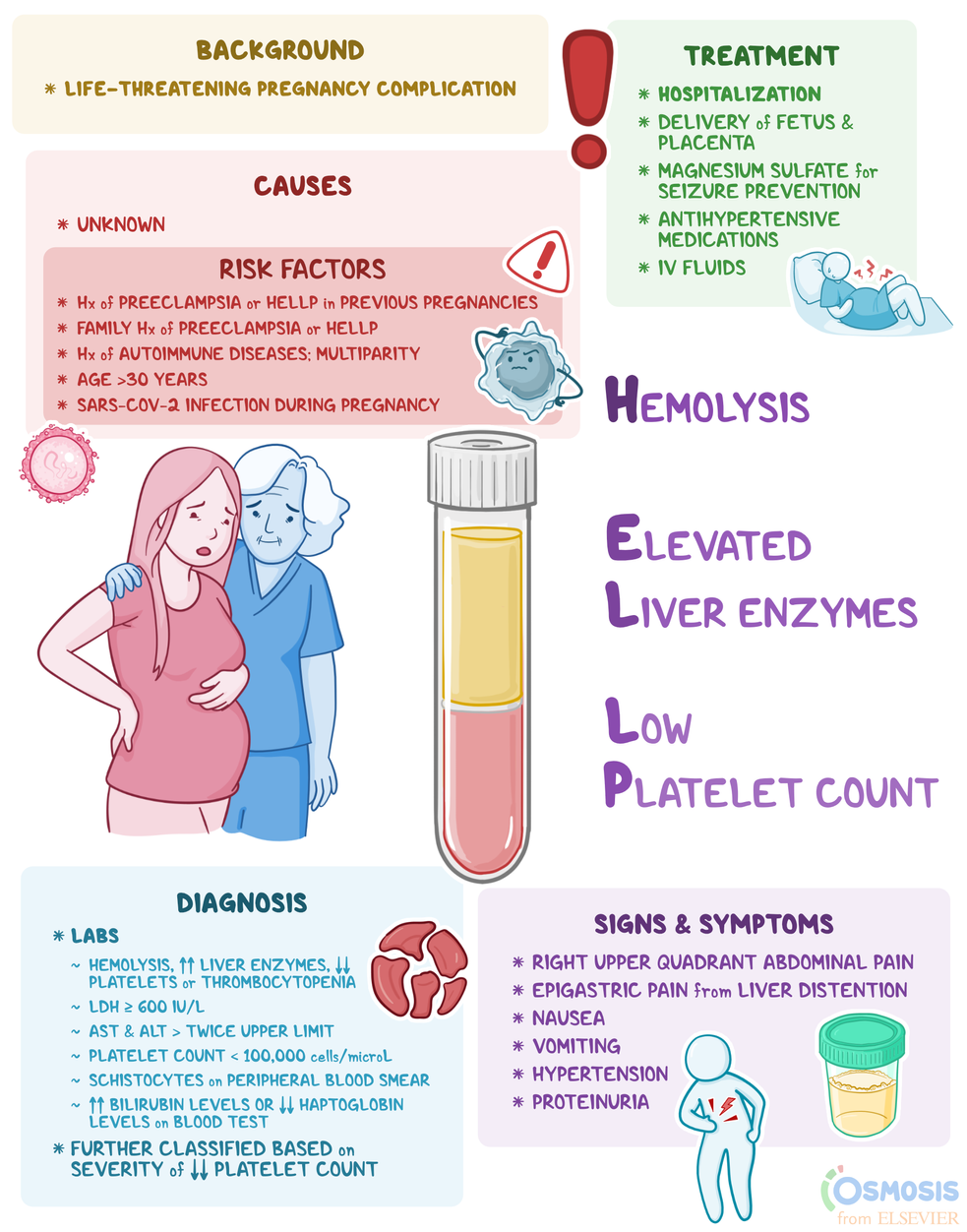 HELLP Syndrome: What Is It, Causes, Diagnosis, Treatment, and More ...