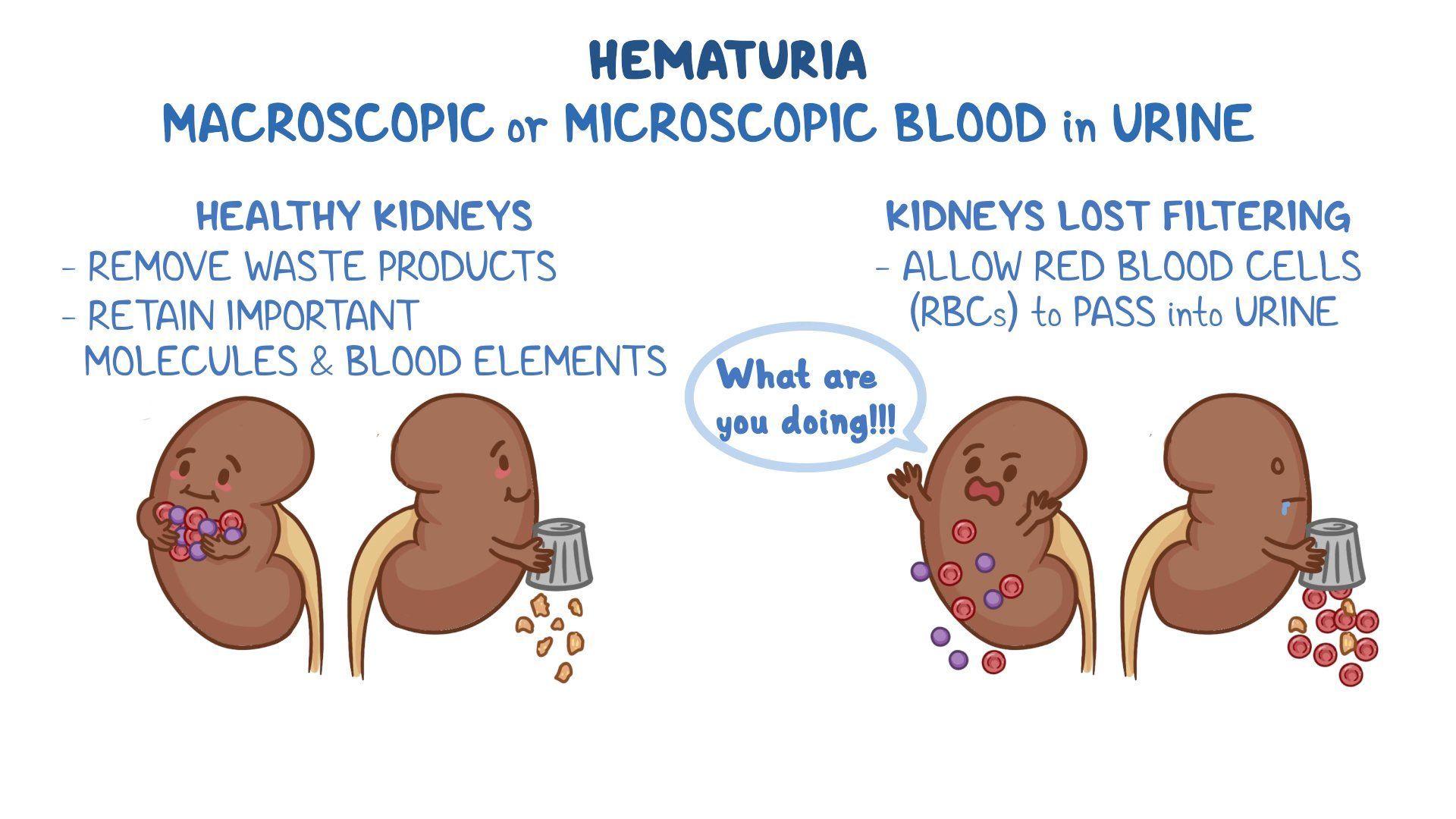 Video: Approach to hematuria (pediatrics): Clinical sciences | Osmosis