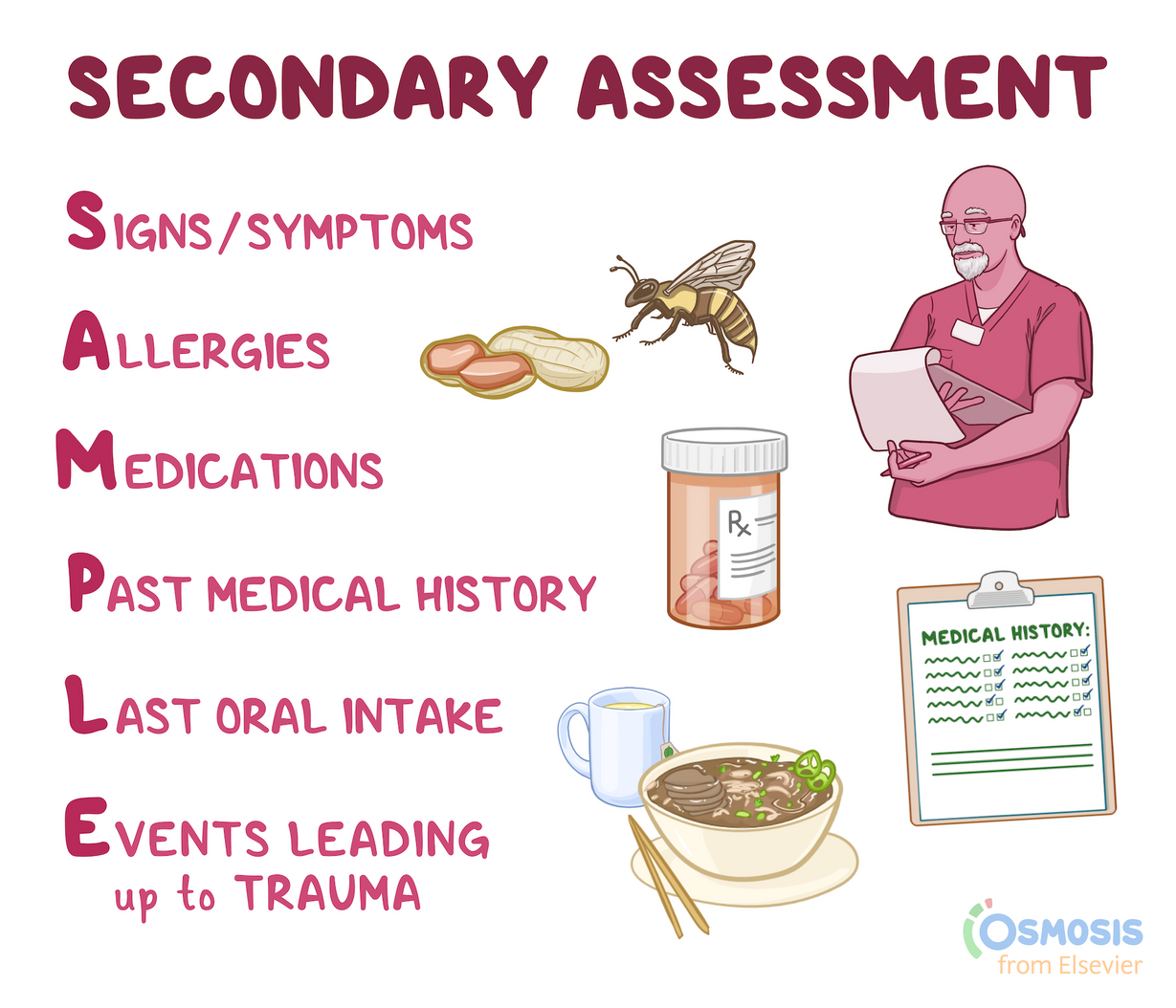 SAMPLE: Secondary Assessment Acronym | Osmosis