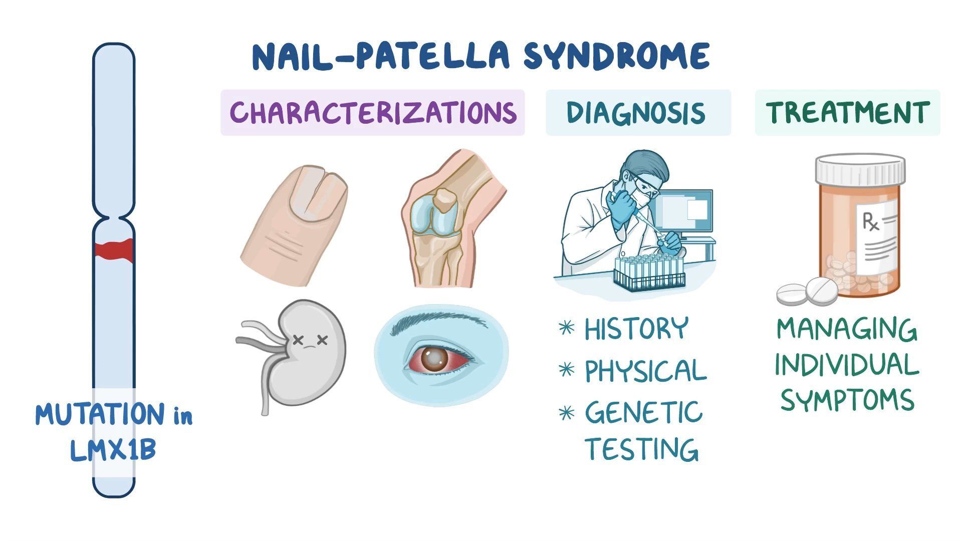 Video: Nail-patella syndrome: Year of the Zebra | Osmosis