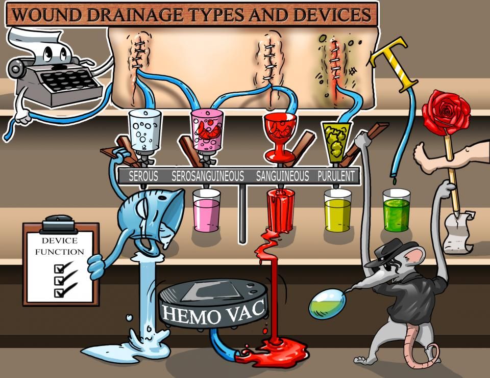 Integumentary Emptying Closed Drains Osmosis