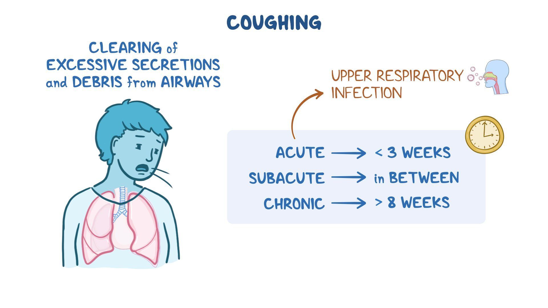 Video: Approach to a cough (acute): Clinical sciences | Osmosis