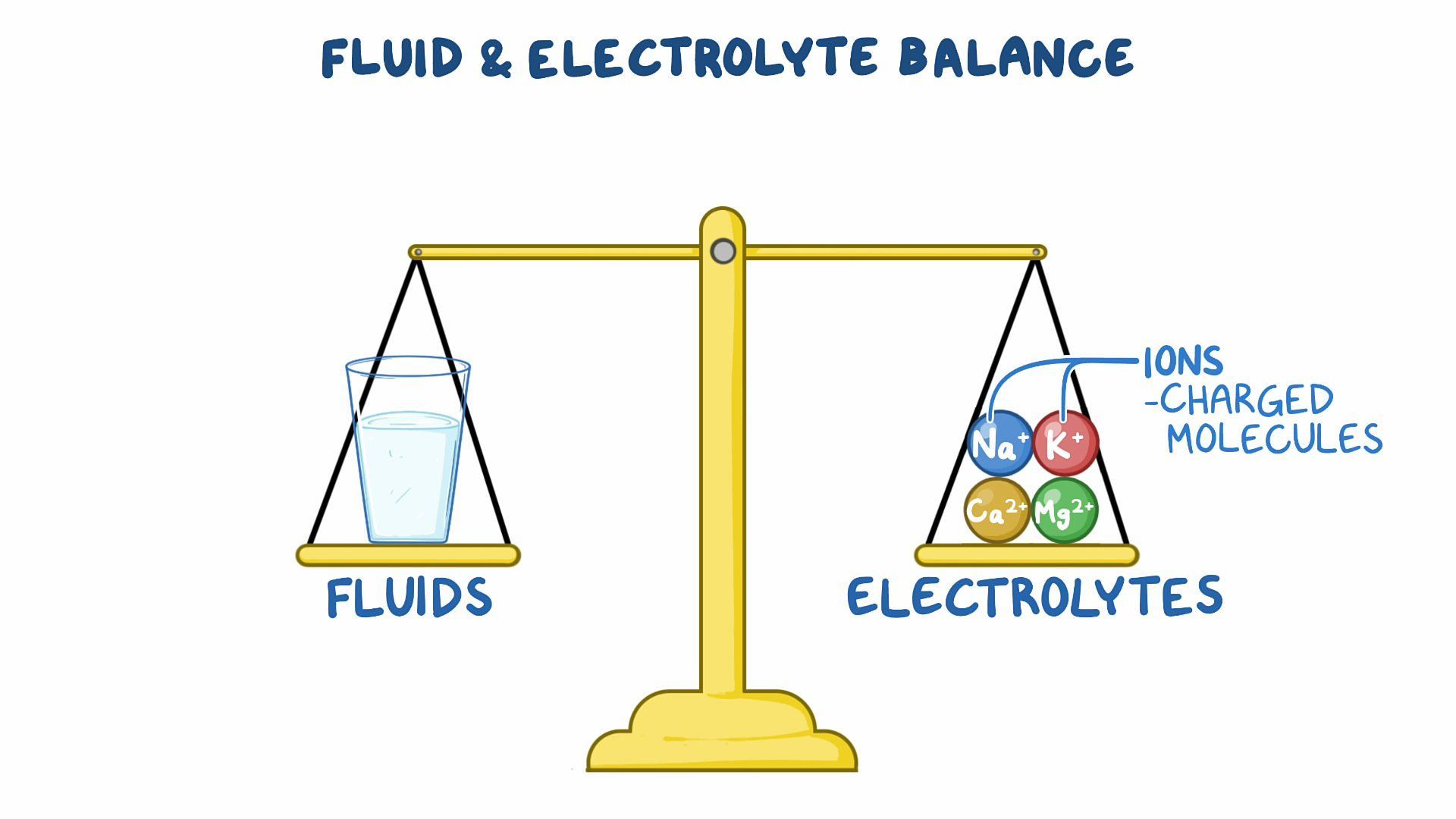 Video: Fluid and electrolyte balance - Overview: Nursing | Osmosis Video: Fluid and electrolyte balance - Overview: Nursing | Osmosis